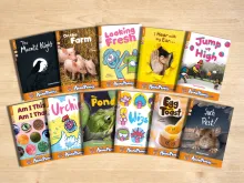 Phase 4 Class Pack | Anima Phonics